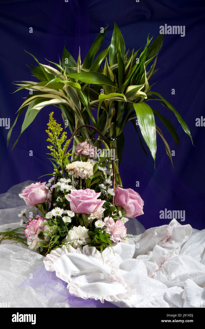 religion, flower, flowers, plant, roses, purple, catholic, bouquets ...