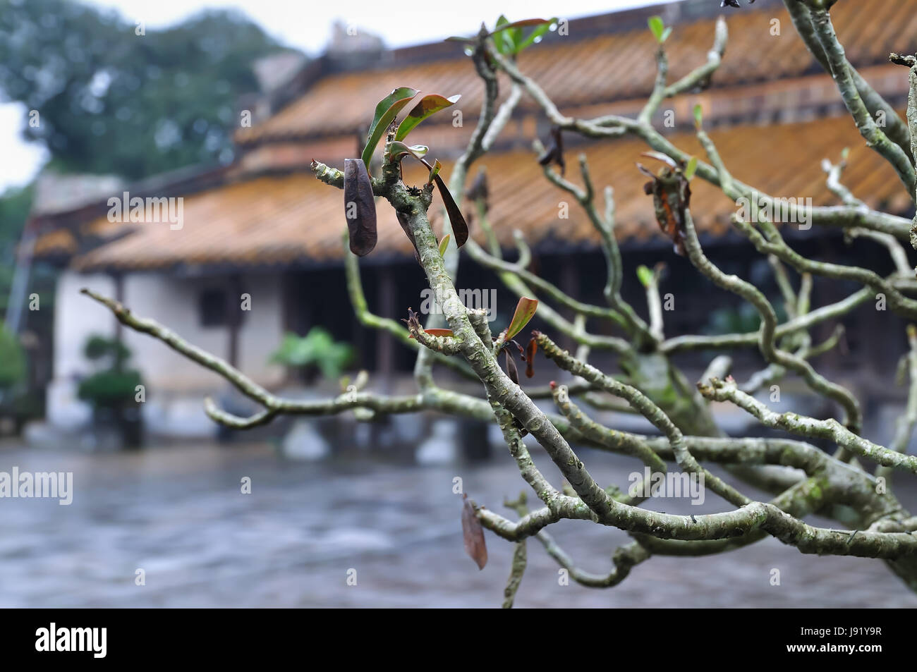 travel, temple, tomb, style of construction, architecture ...