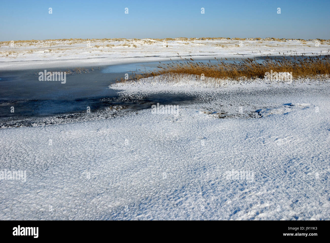 winter, ice, sheet of ice, dunes, sylt, elbow, ice-covered, snow, blue ...