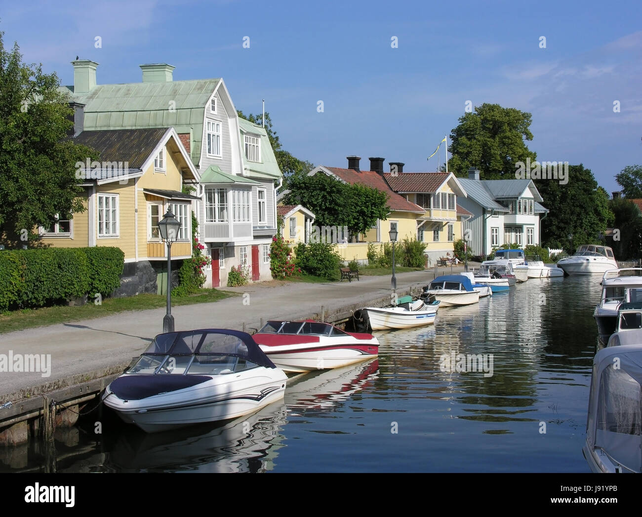 sweden, scandinavia, tree, trees, coloured, colourful, gorgeous ...