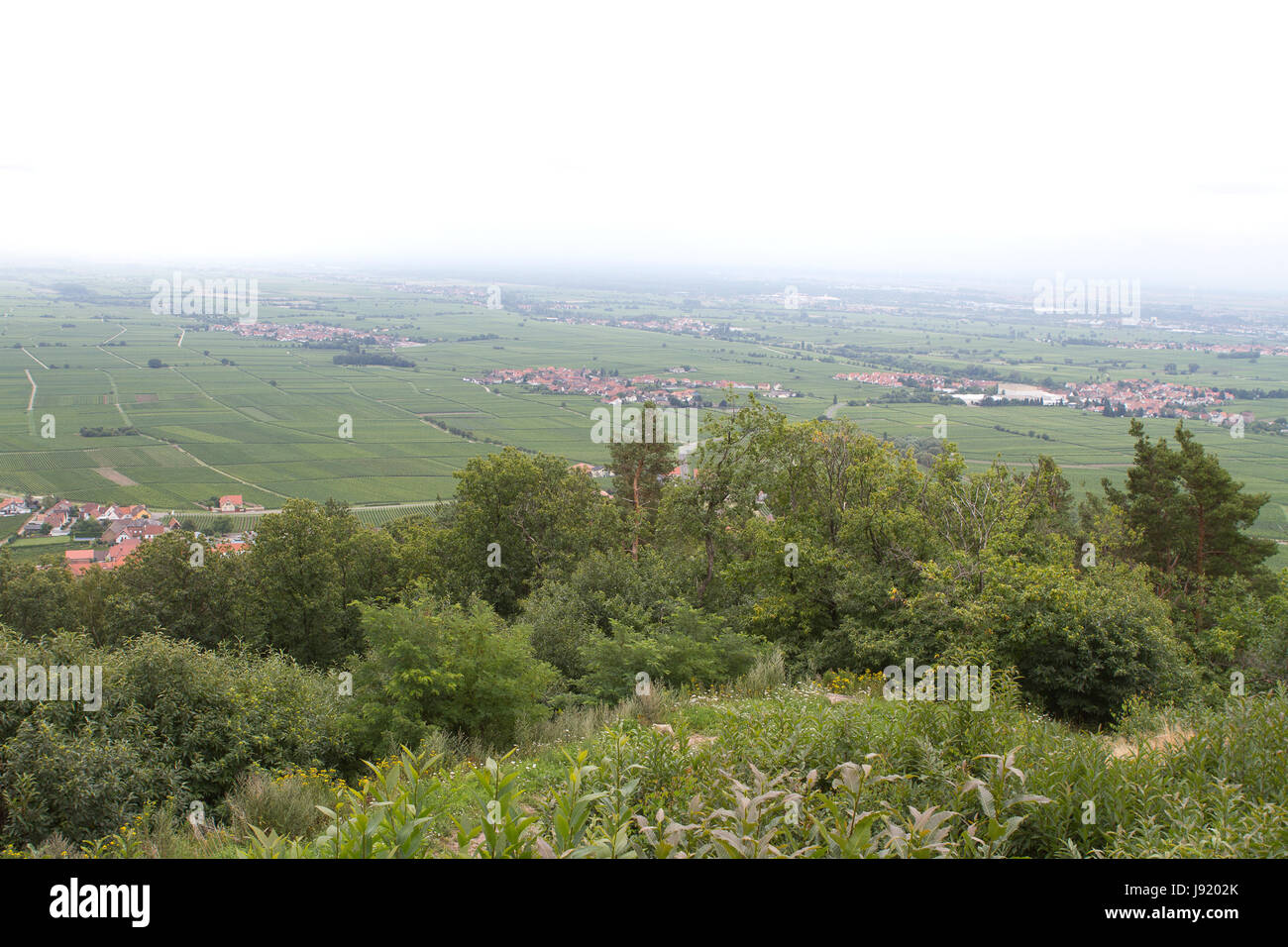 3548 hi-res stock photography and images - Alamy