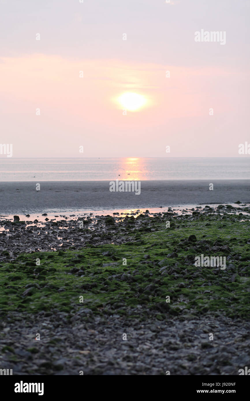 sunset, beach, seaside, the beach, seashore, water, north sea, salt ...