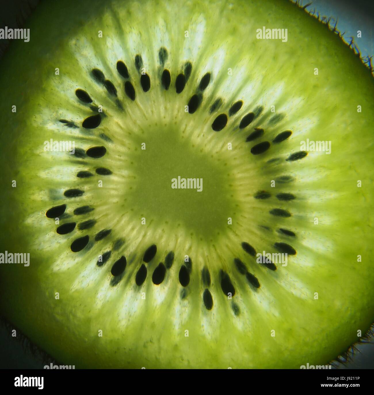 Cut kiwi fruit. Pulp and seeds of the fruit. Macro Stock Photo - Alamy