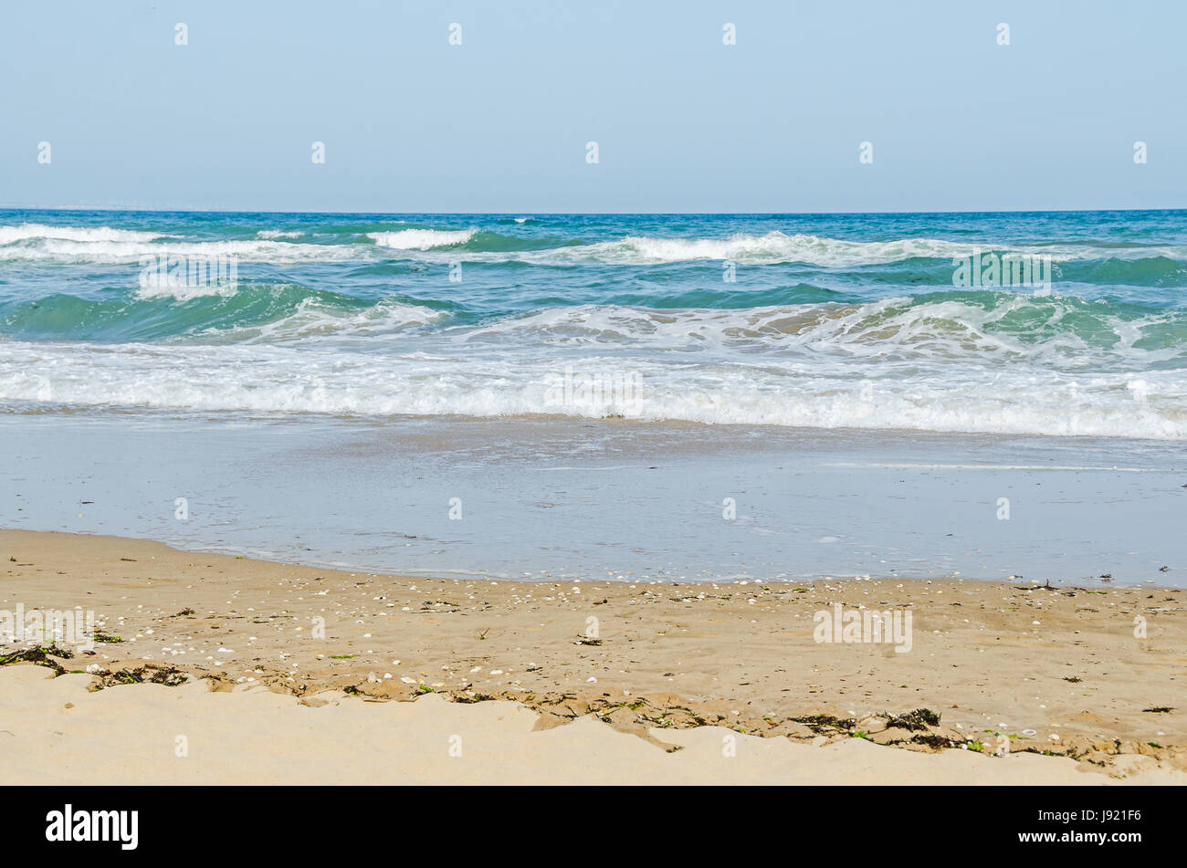 The Black Sea shore, seaside and beach with gold sands, blue water and ...