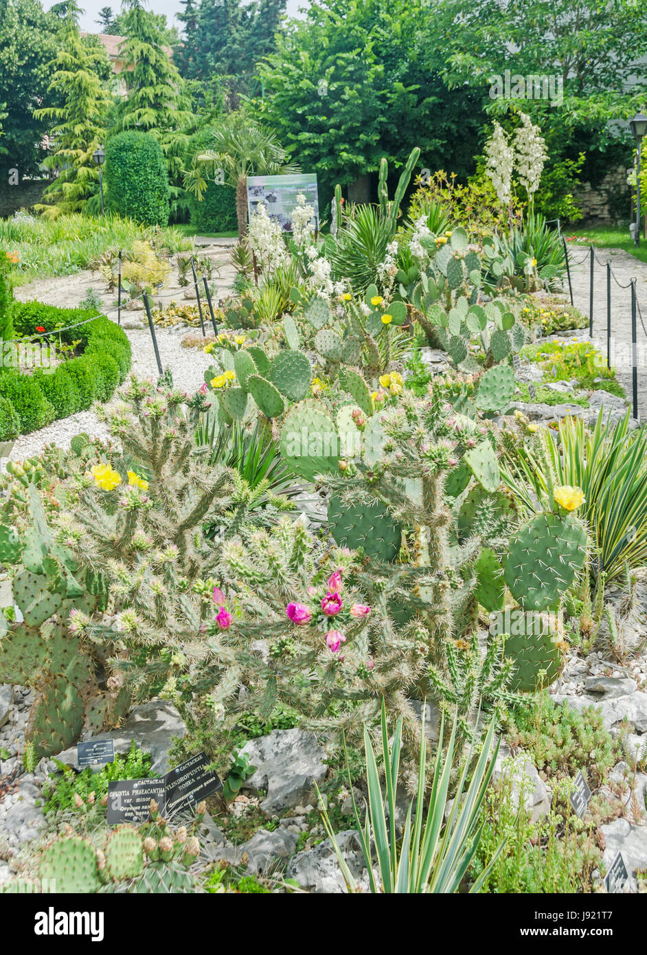 BALCHIK, BULGARIA - JUNE 19, 2016. The Balchik Botanical Garden of ...