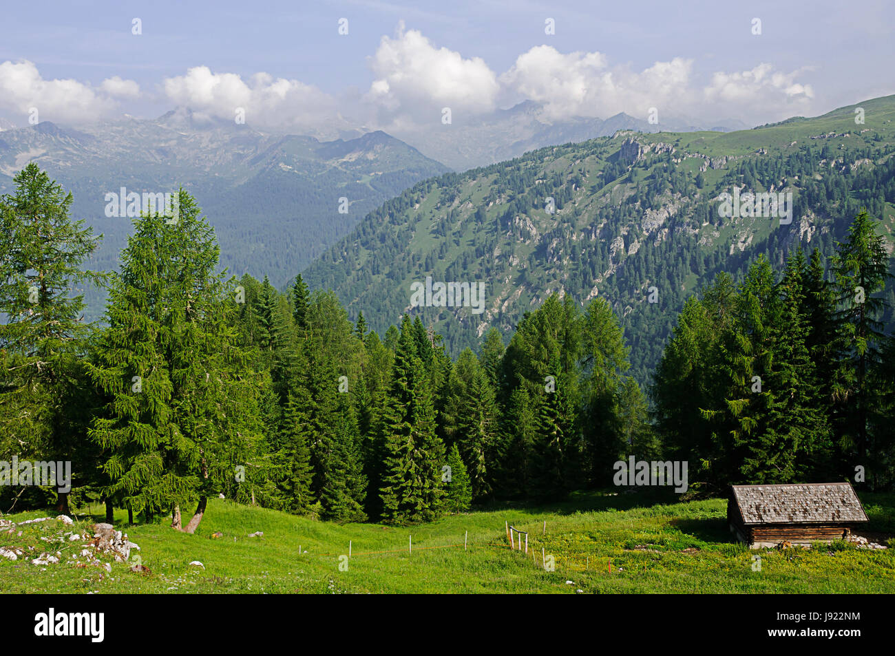 tree, dolomites, alps, calm, cabin, mountain, lawn, green, forest, blue ...
