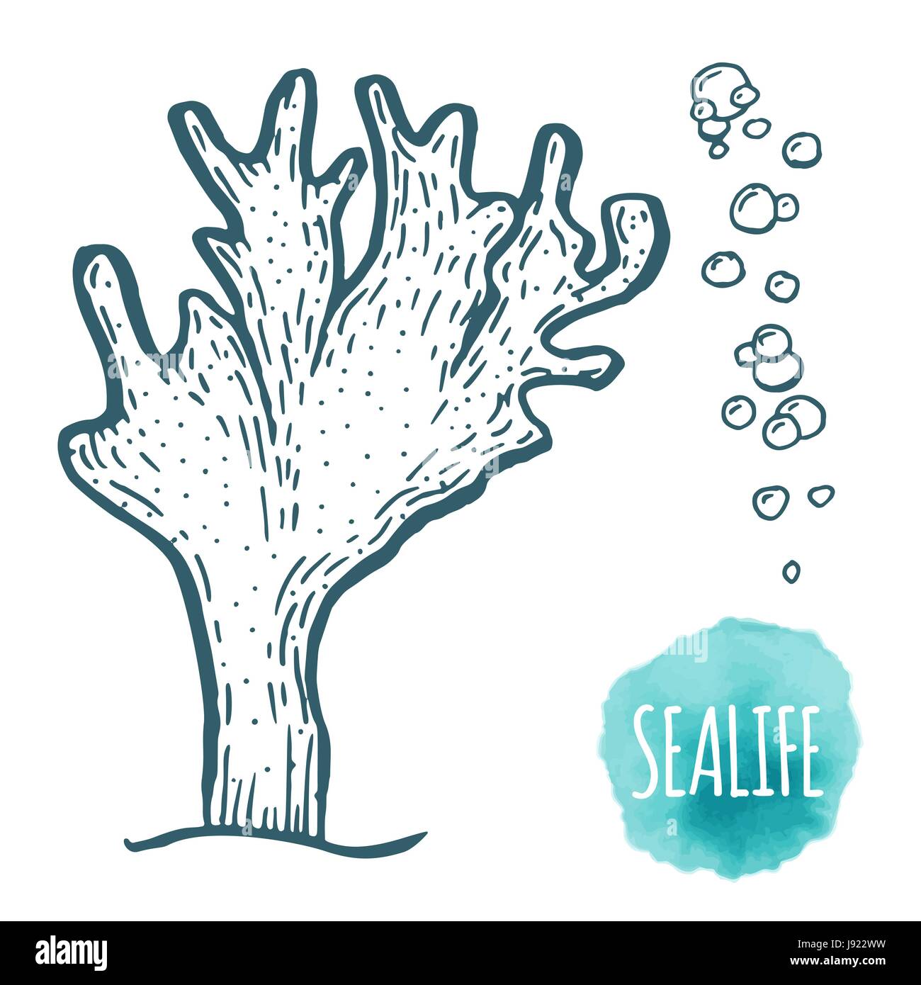 Hand drawn aquatic coral doodle vector illustration Stock Vector Image ...
