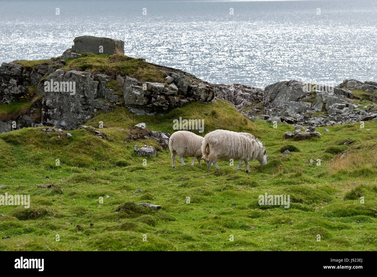 Walking_tour hi-res stock photography and images - Alamy