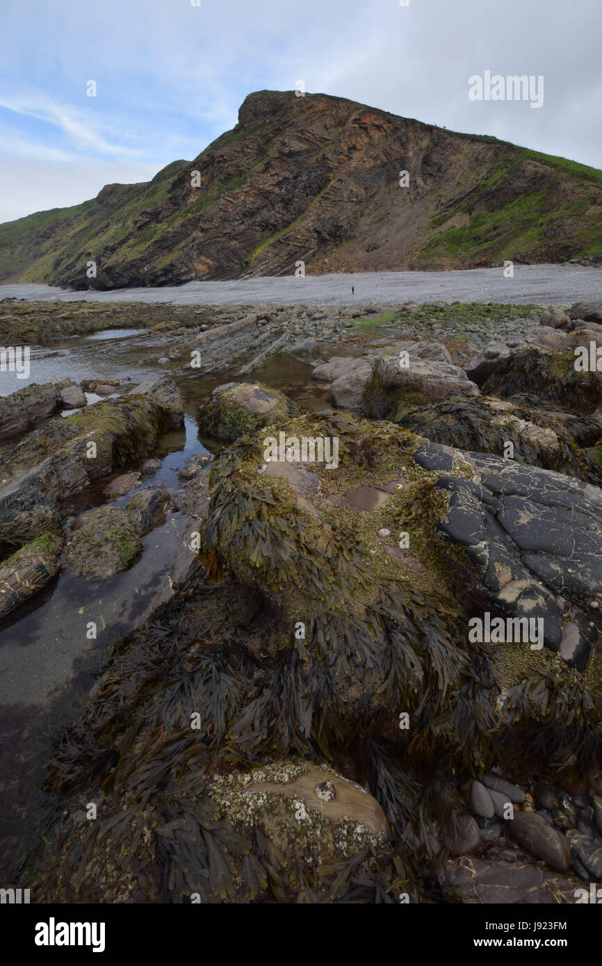 Millook Haven Cornwll Stock Photo - Alamy