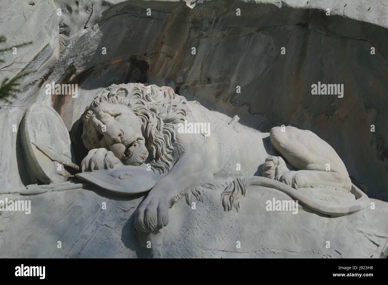 lion, cat, big cat, feline predator, switzerland, lucerne, city, town ...