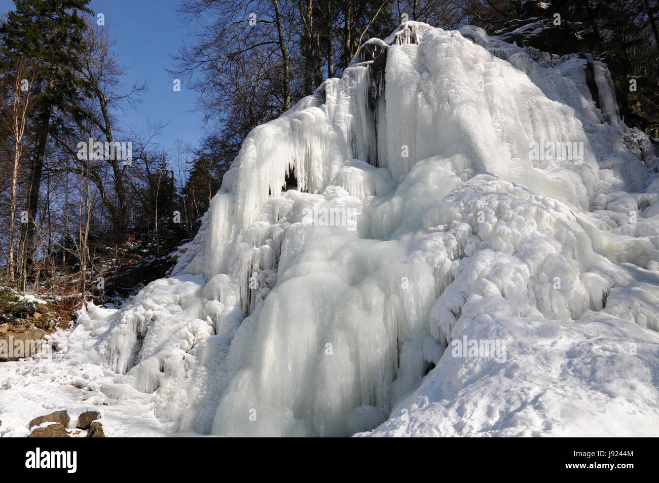 waterfall, resin, row, current of the river, tree, trees, cold, stream ...