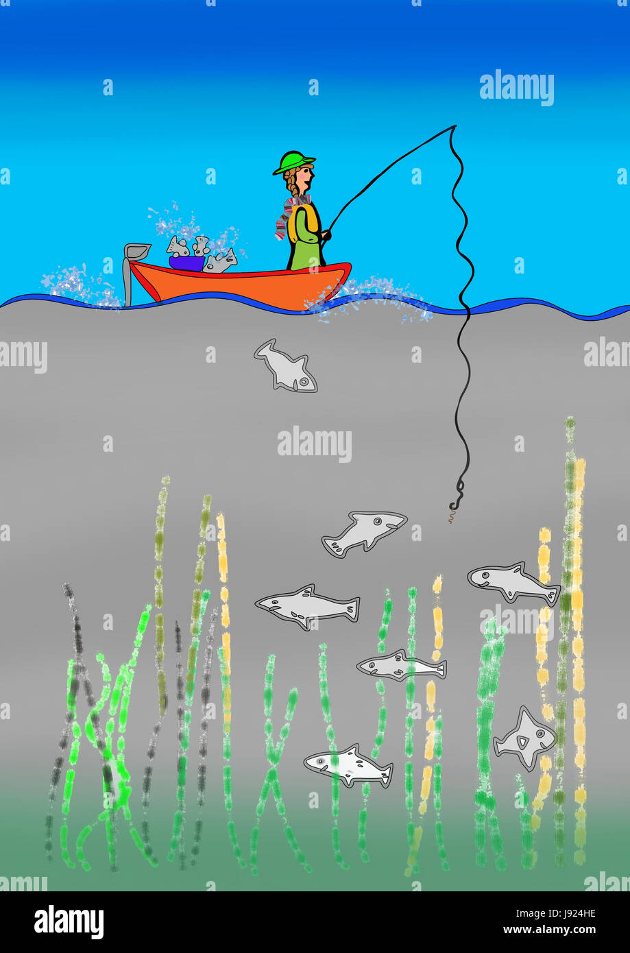 underwater, angle, fish, pisces, fishing rod, angler, rowing boat ...