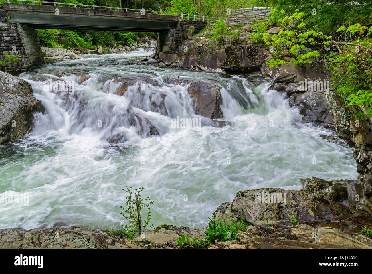 A week of heavy rains had the Little River nearly out of its banks and ...