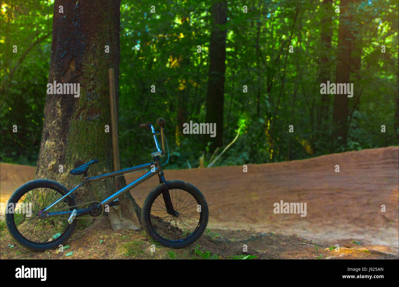 Boy riding his bmx in forest hi-res stock photography and images - Alamy