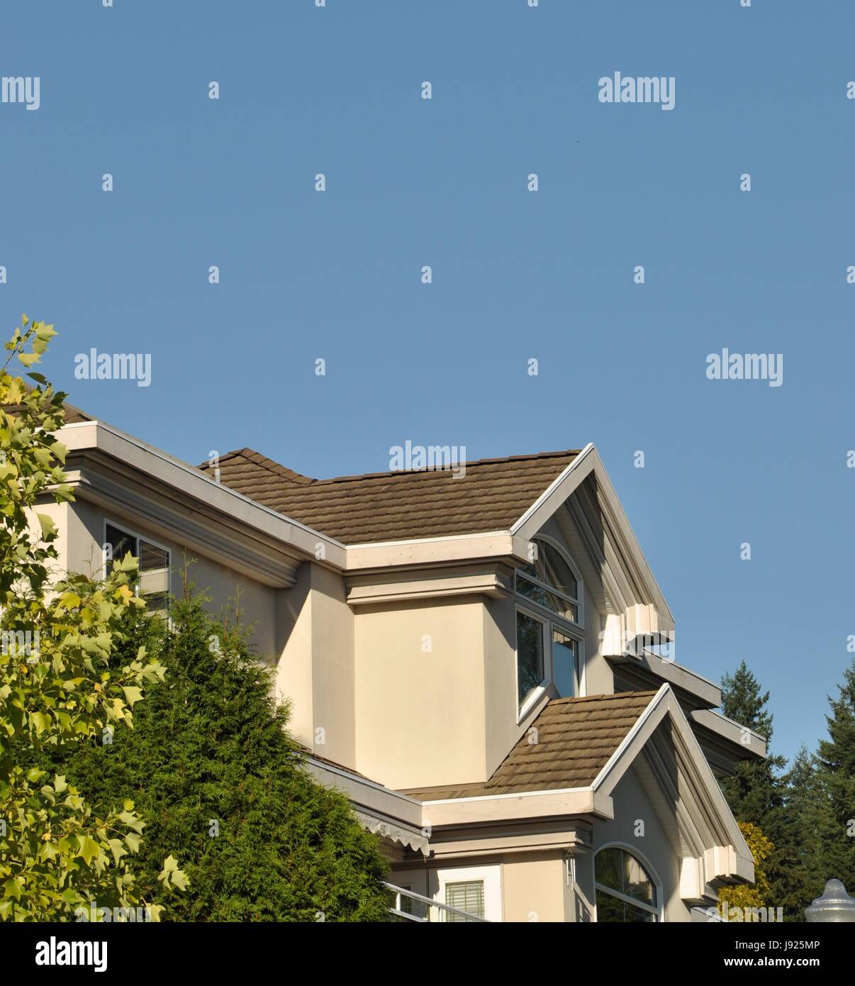 house, building, leaf, modern, modernity, outdoor, pattern, exterior ...