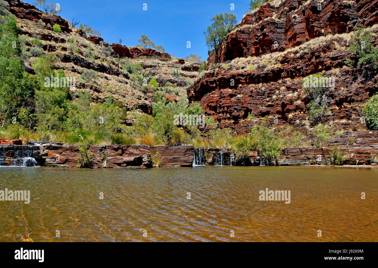 Rote riesenkngurus hi-res stock photography and images - Alamy