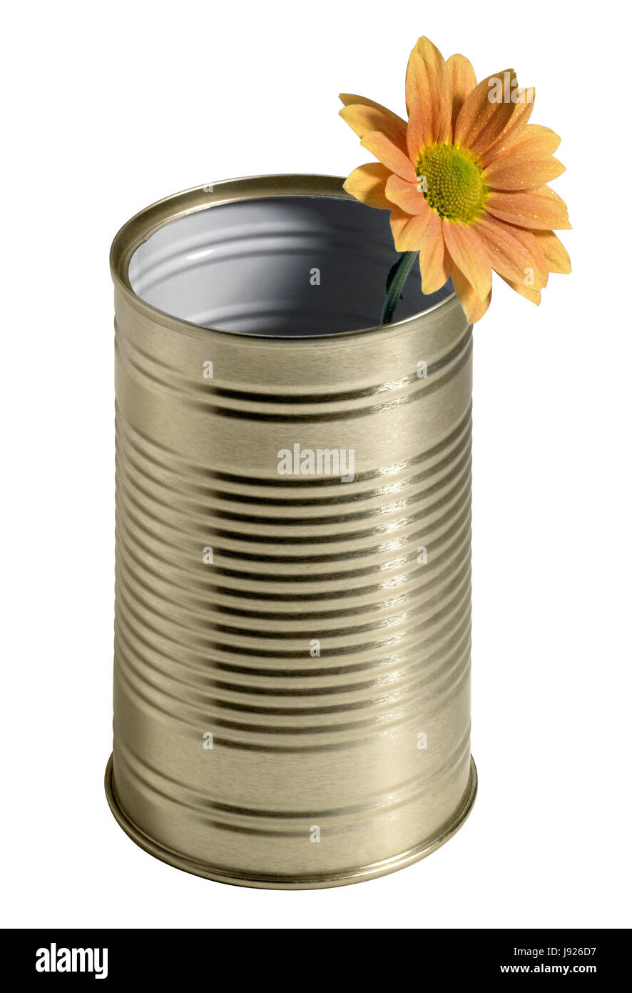 bloom, blossom, flourish, flourishing, bucket, bottle, tin can ...