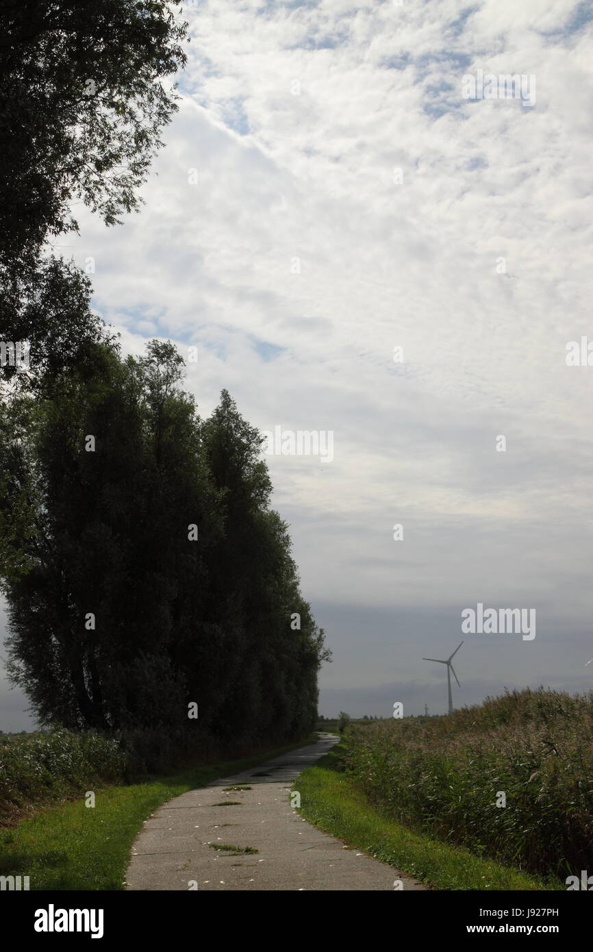 Bowed trunk hi-res stock photography and images - Alamy