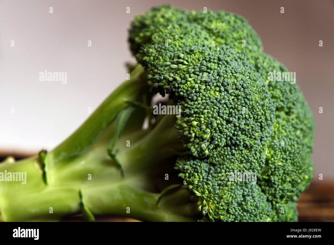 green, vegetable, raw, broccoli, fresh, food, aliment, vitamins ...