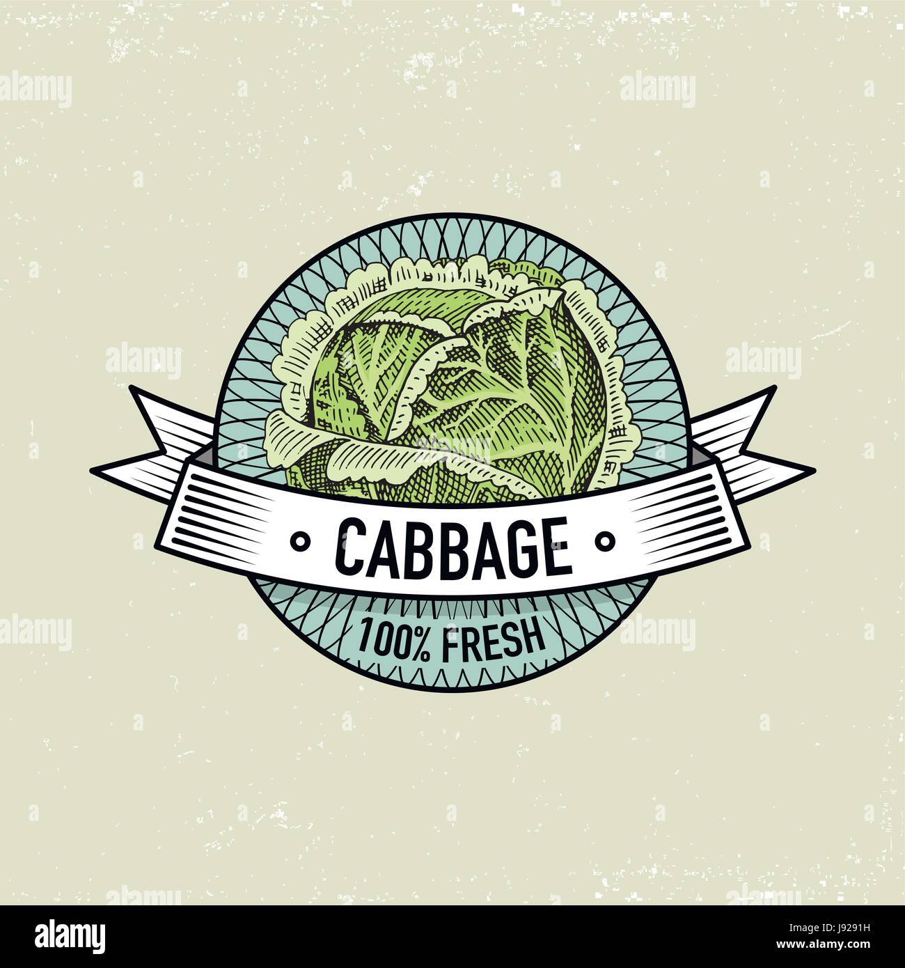 Cabbage logo hi-res stock photography and images - Alamy