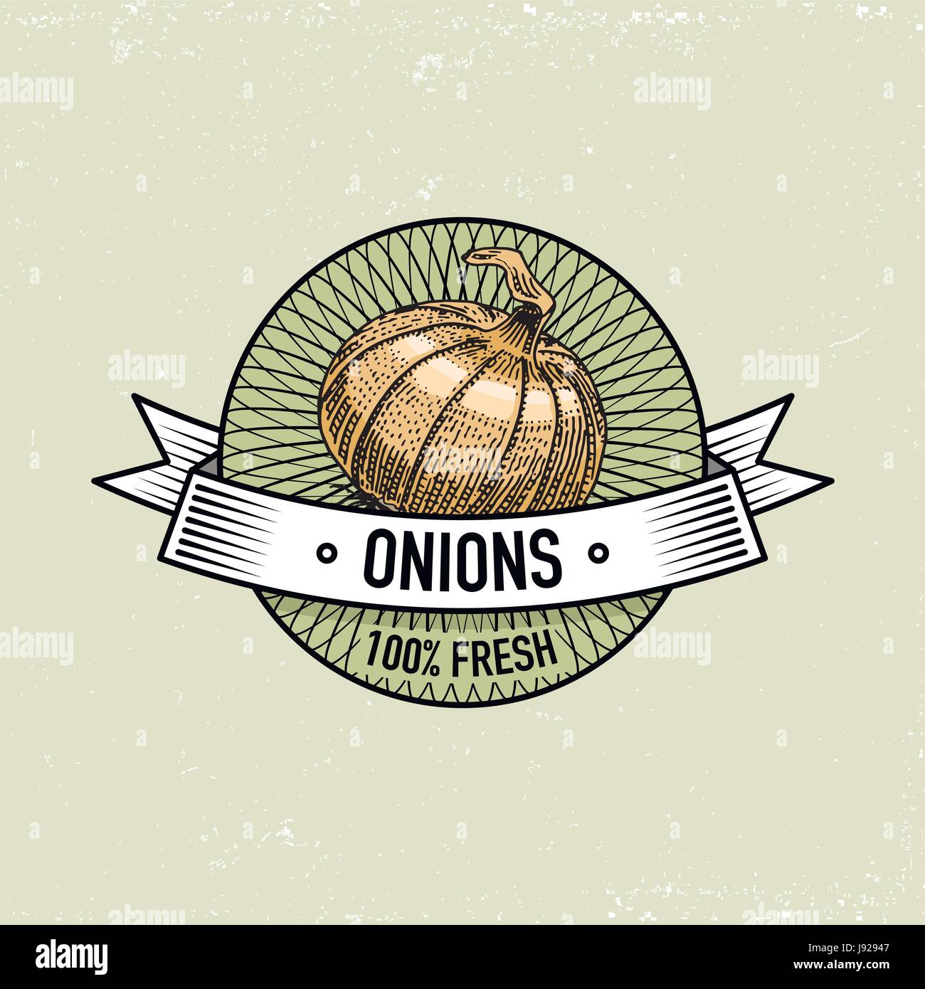 American garden food Stock Vector Images - Alamy