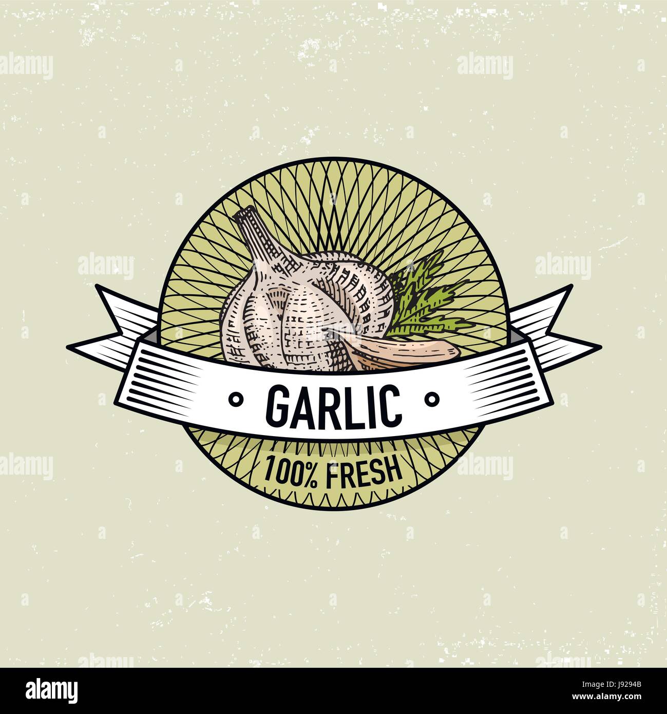 Garlic Vintage set of labels, emblems or logo for vegeterian food ...