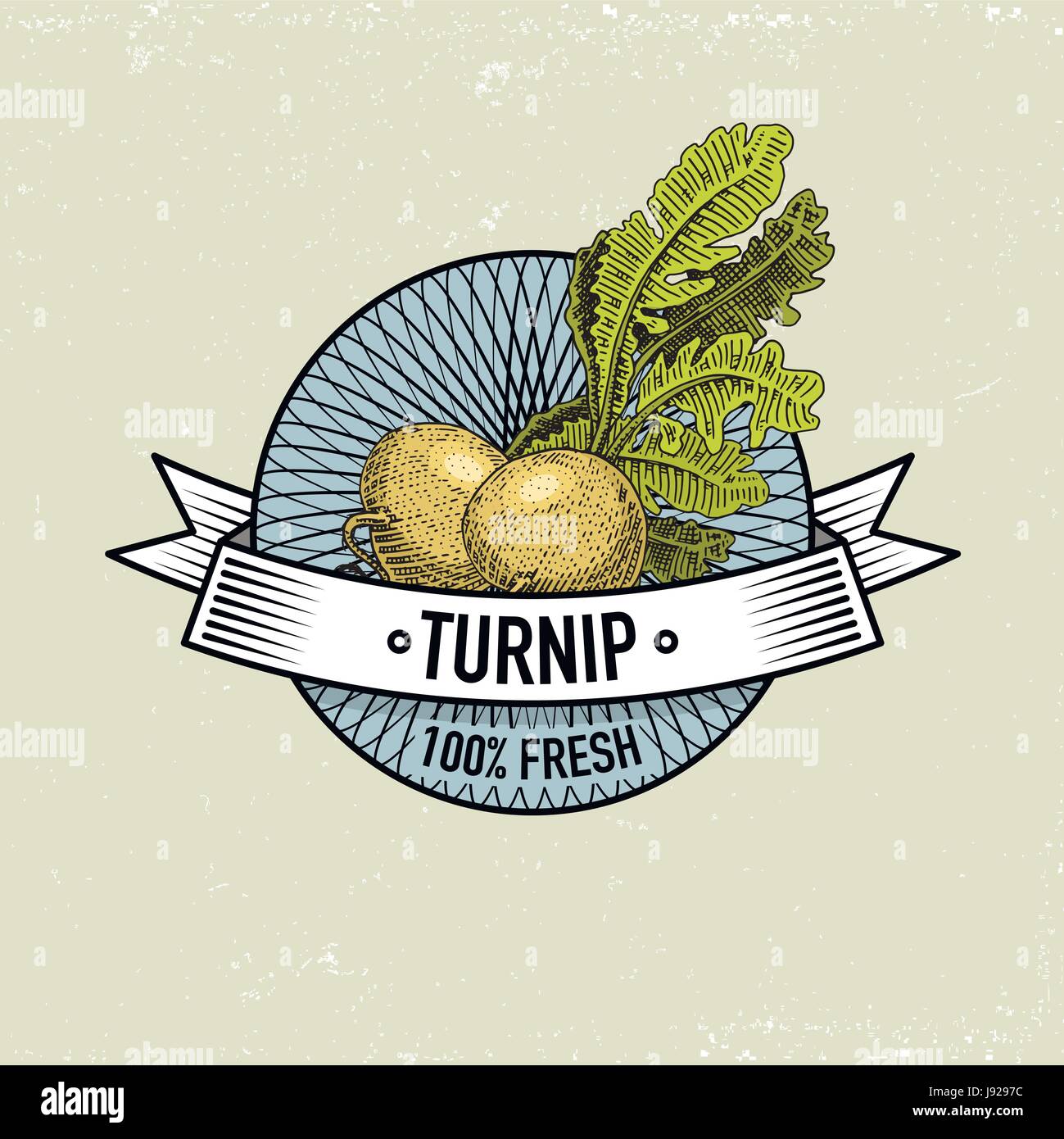 Turnip Vintage set of labels, emblems or logo for vegeterian food ...