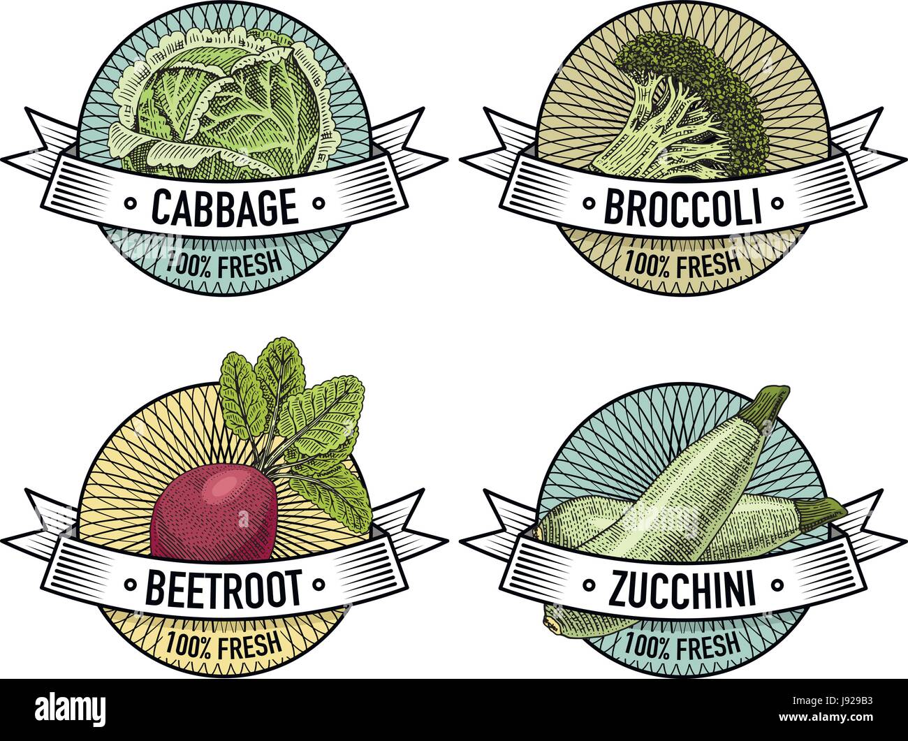 Vintage set of labels, emblems or logo for vegeterian food, vegetables ...