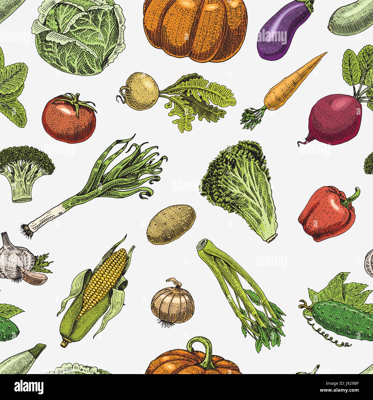 Seamless pattern with sketch of vegetables and spices. hand drawn ...