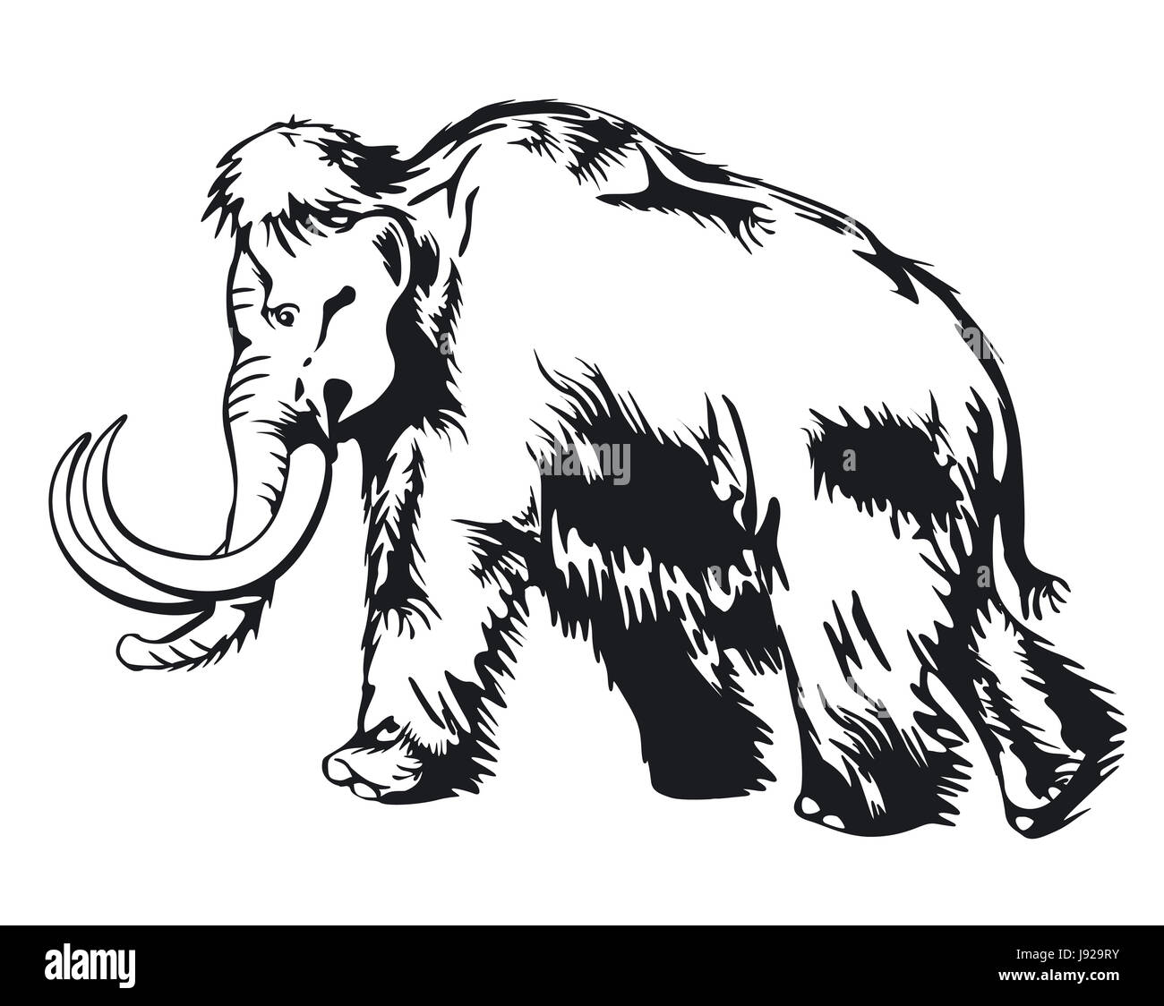 Mammoth Cut Out Stock Images & Pictures - Alamy