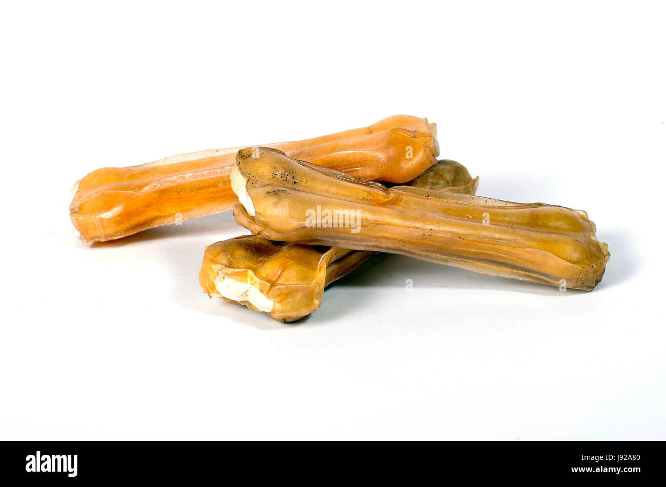 fodder, dog, bone, food, aliment, health, fodder, pet, dog, plate ...