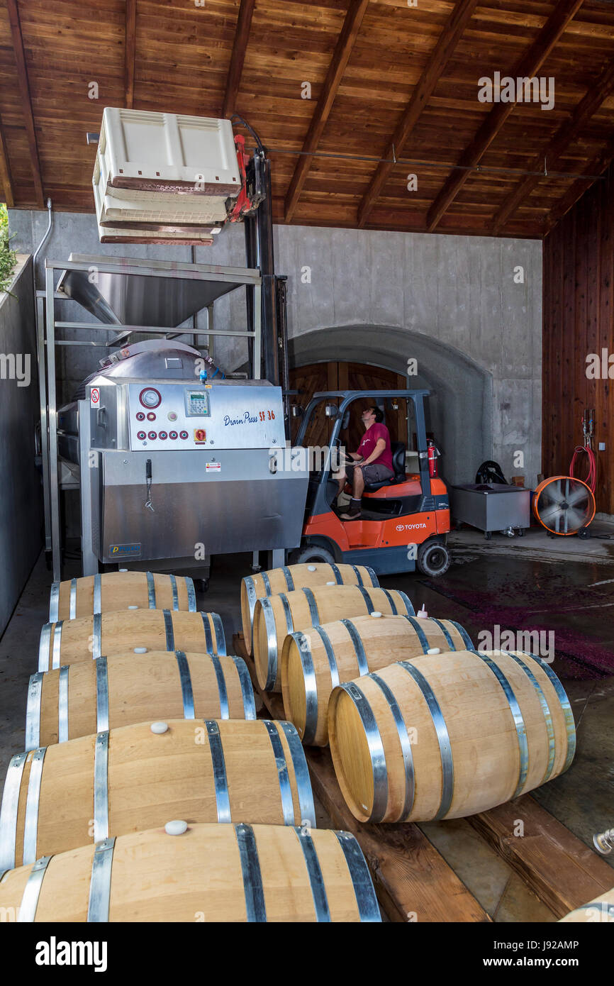 winery worker, drain press, wine press, Jericho Canyon Vineyard ...