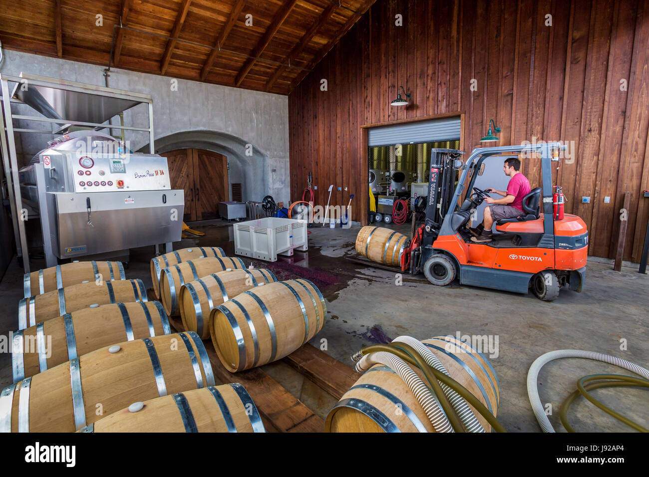 winery worker, drain press, wine press, Jericho Canyon Vineyard ...