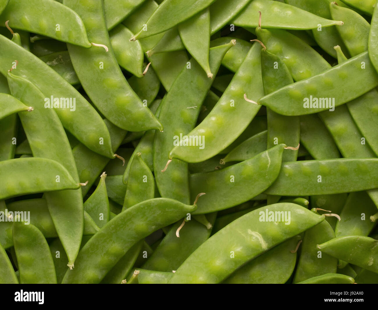 snow, coke, cocaine, material, drug, anaesthetic, addictive drug, raw ...