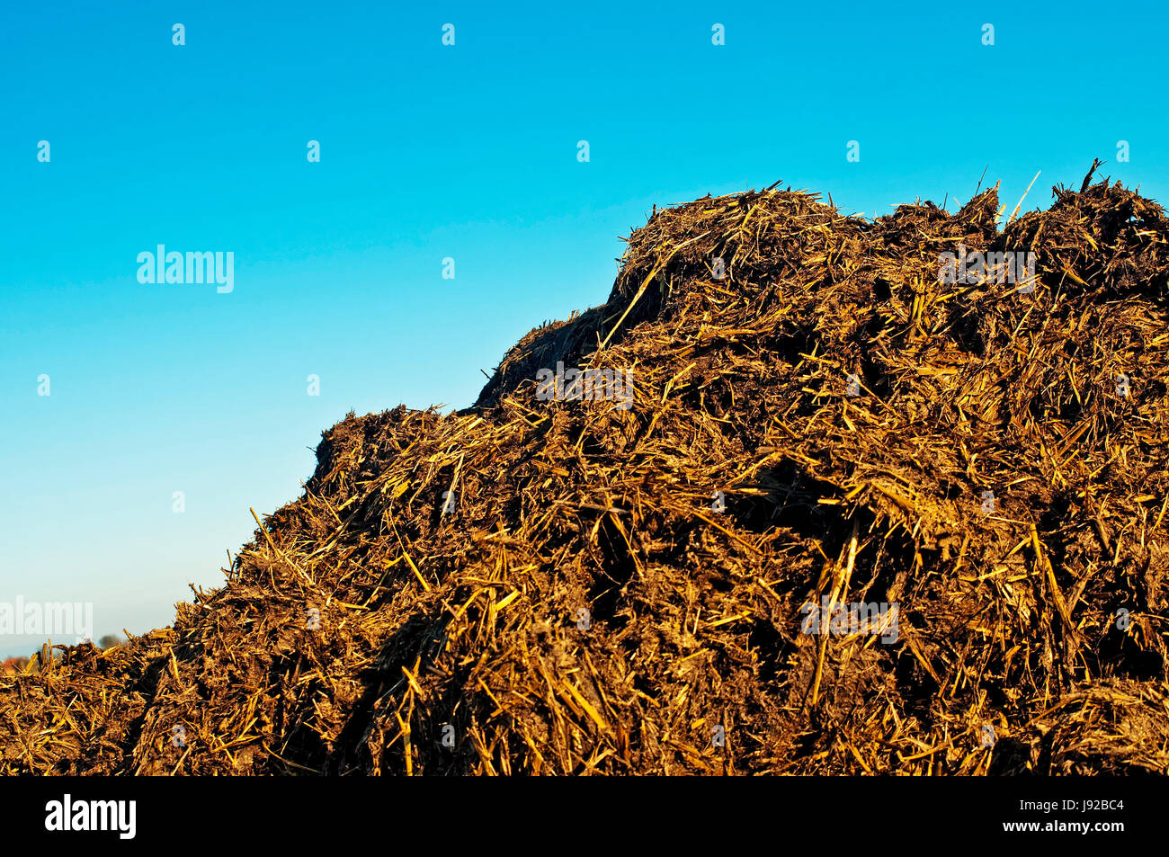 blue, agriculture, farming, straw, manure, firmament, sky, blue ...
