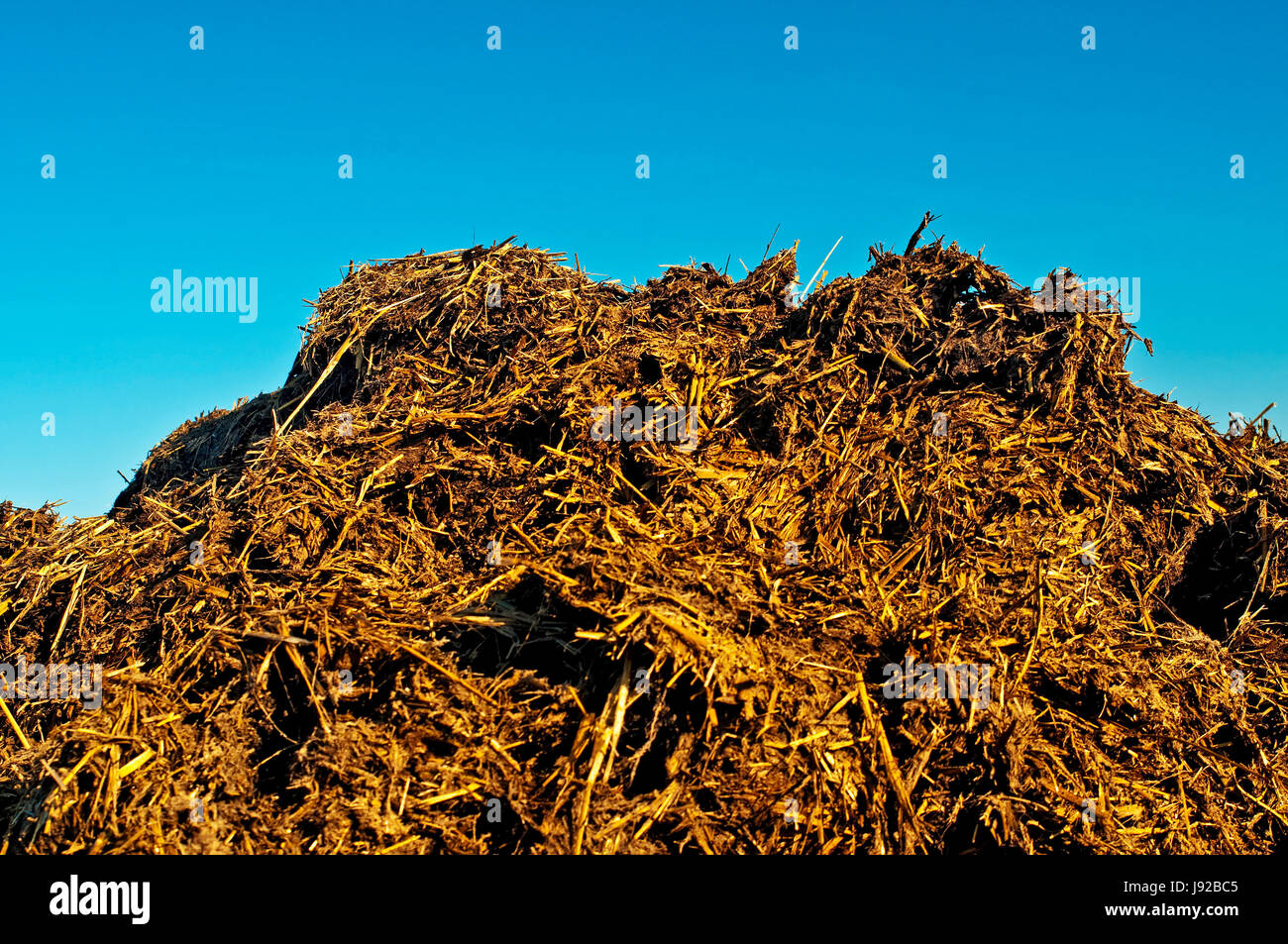 blue, agriculture, farming, straw, manure, firmament, sky, blue ...