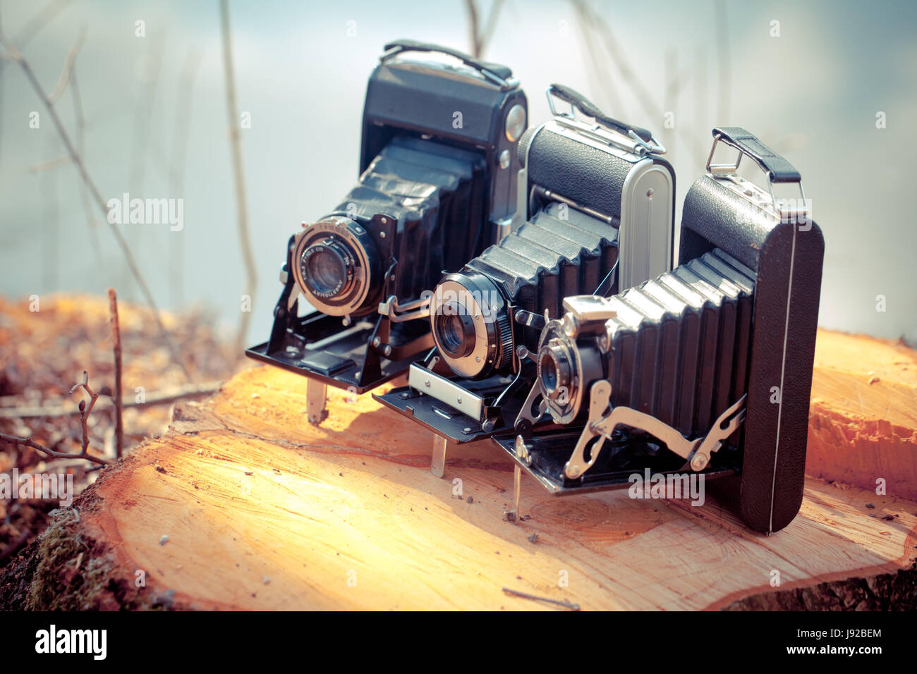 vintage, photography, photo, picture, image, copy, deduction, retro ...