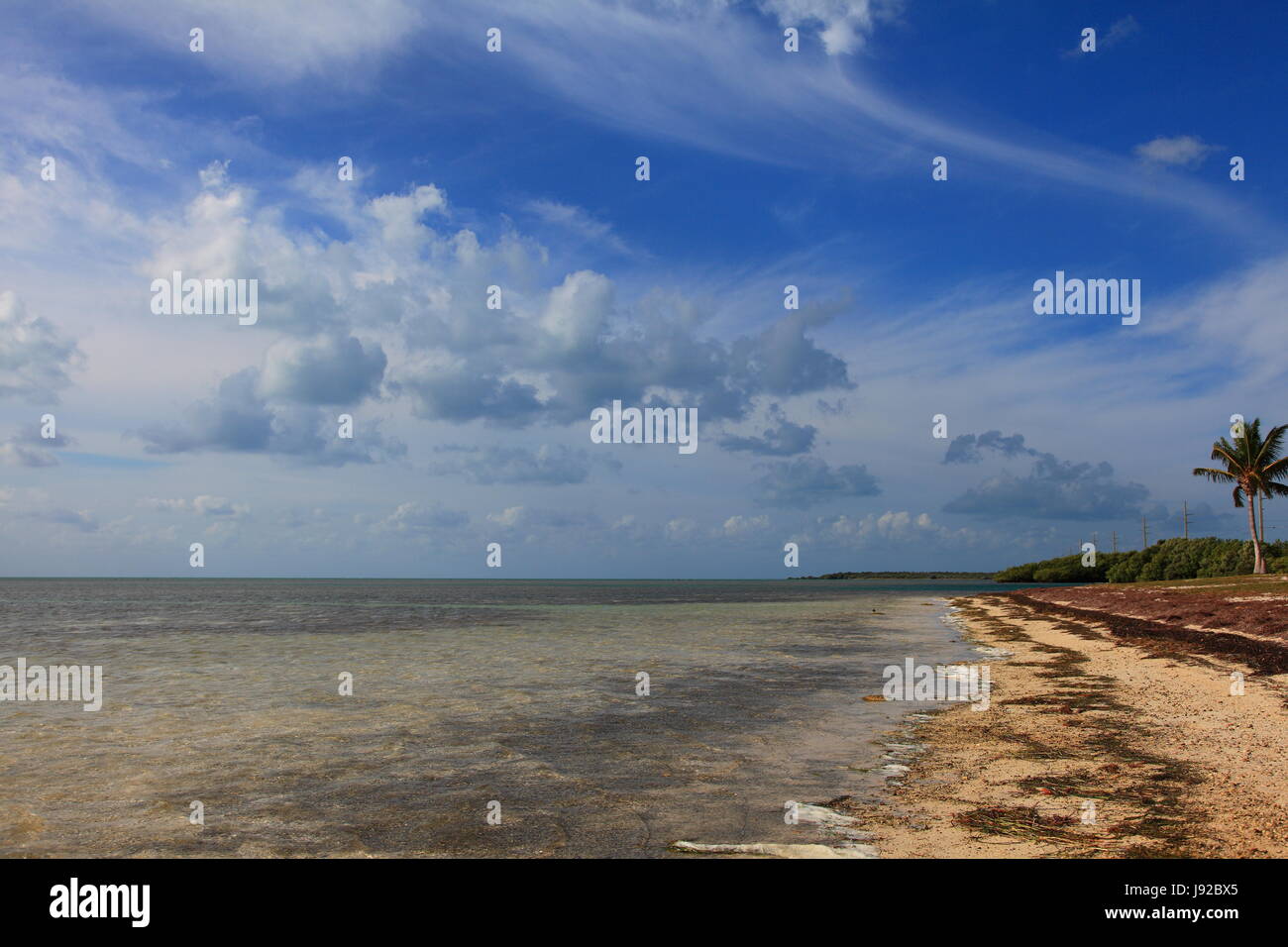 beach miami keys Stock Photo - Alamy