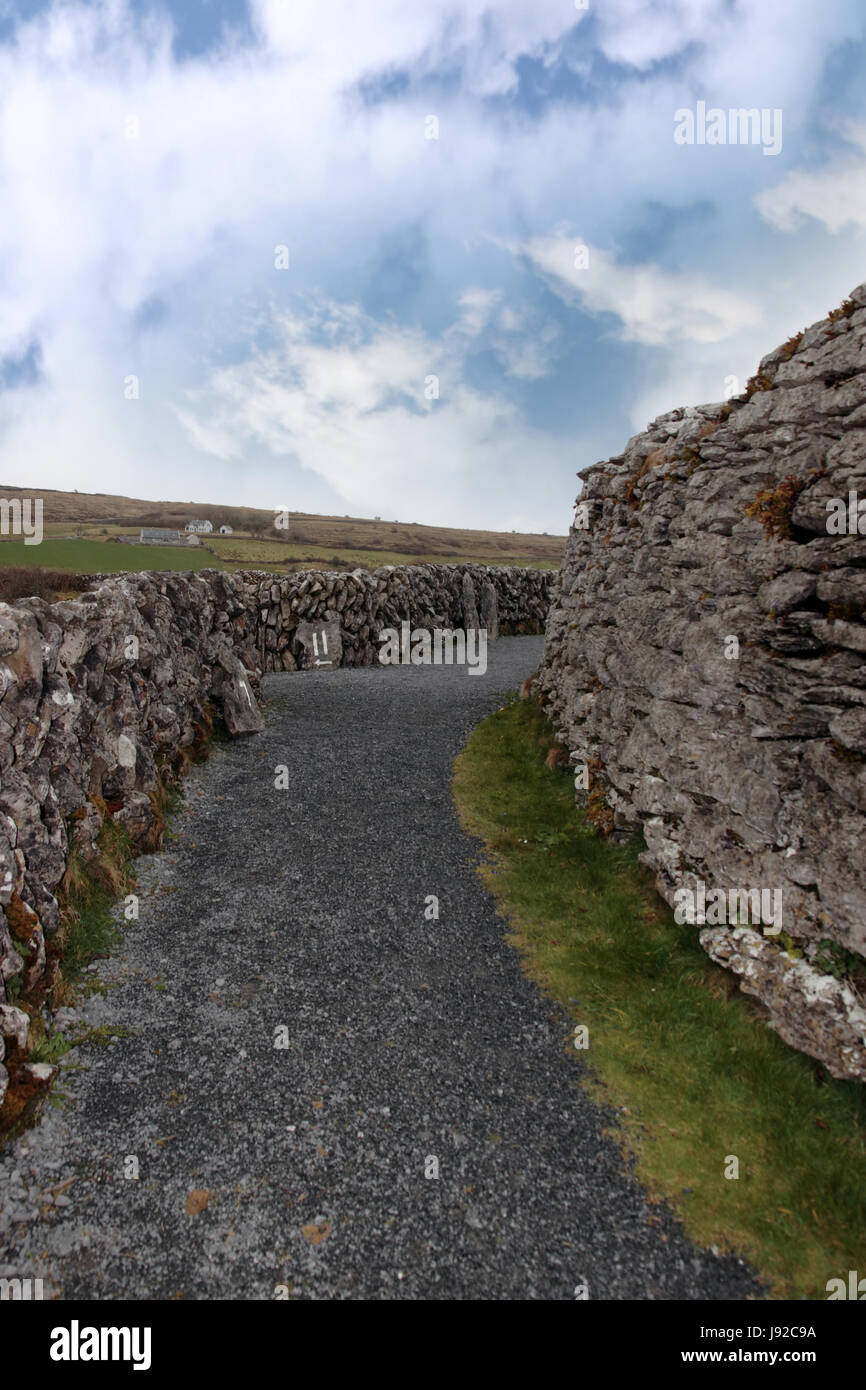 The liberty tree ireland hi-res stock photography and images - Alamy