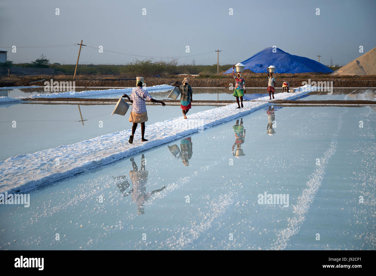 Indias salt farm hi-res stock photography and images - Alamy