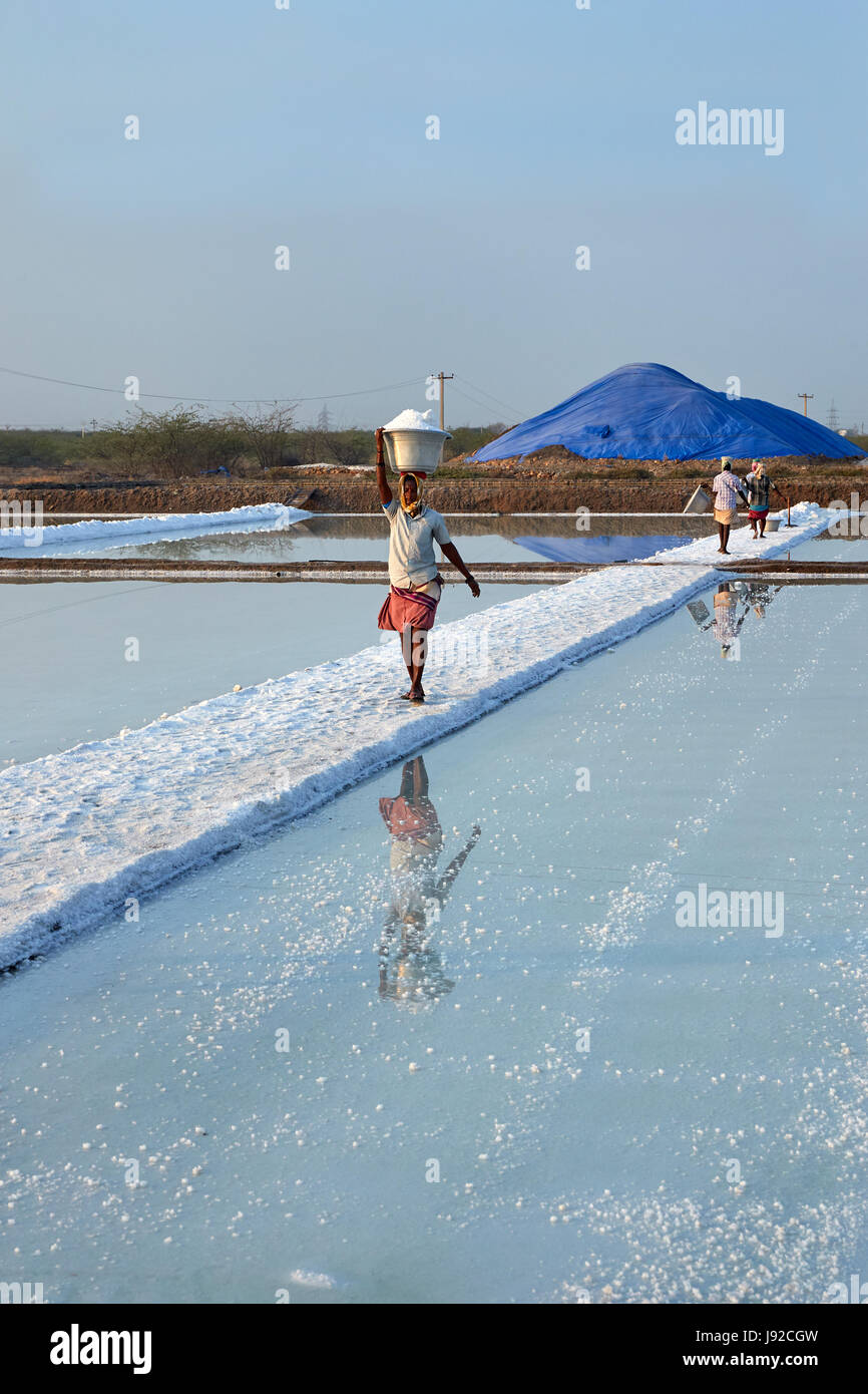 Salt pans on tuticorin Salt Lake, India. It is India's largest saline ...