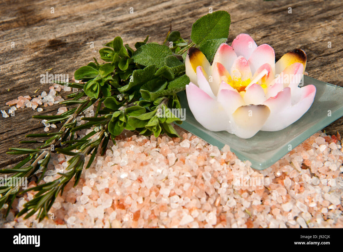 health, flower, plant, massage, herb, botanical, spa, mineral spring ...