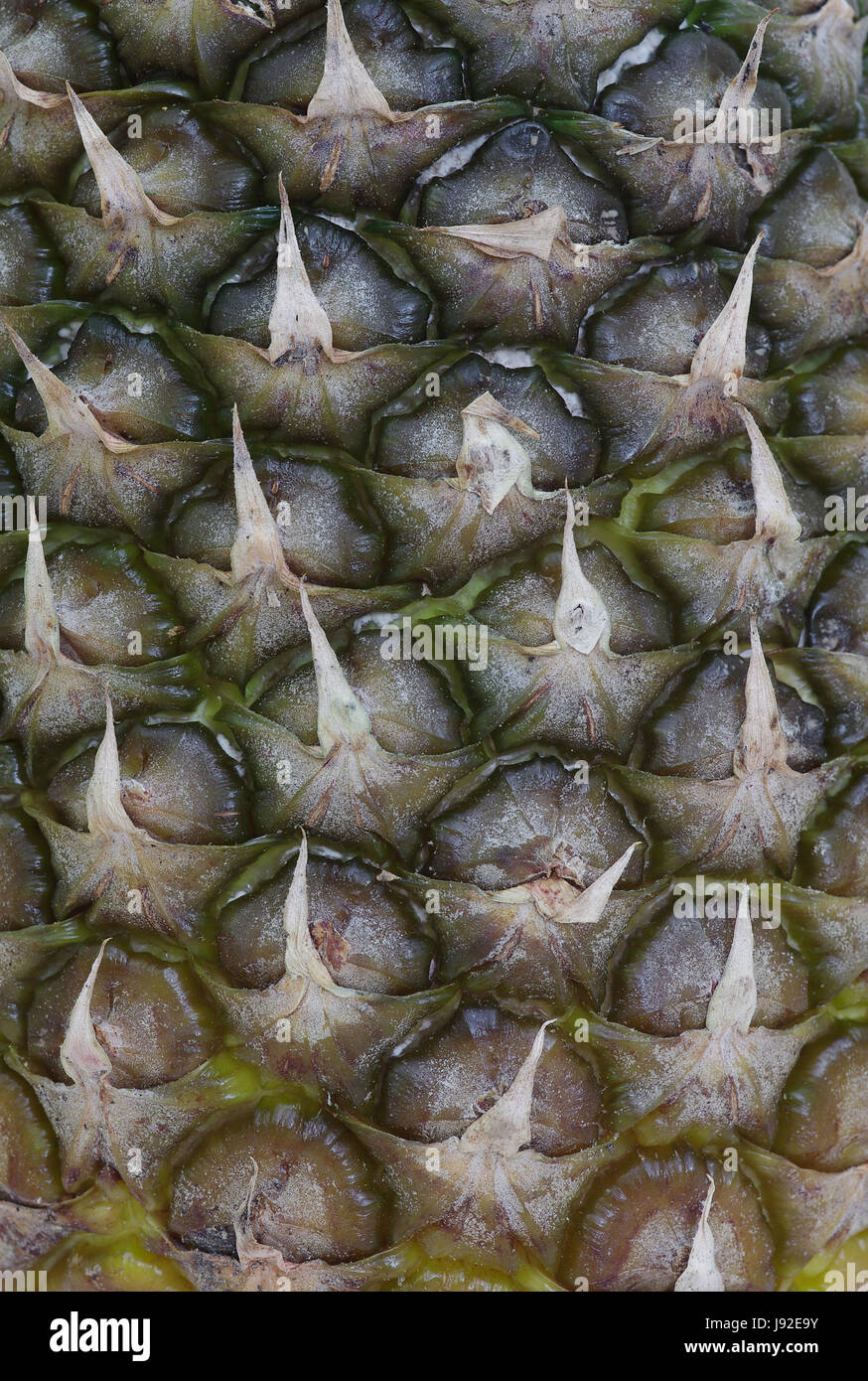 skin, bark, tropical fruit, bowl, pineapple, backdrop, background ...