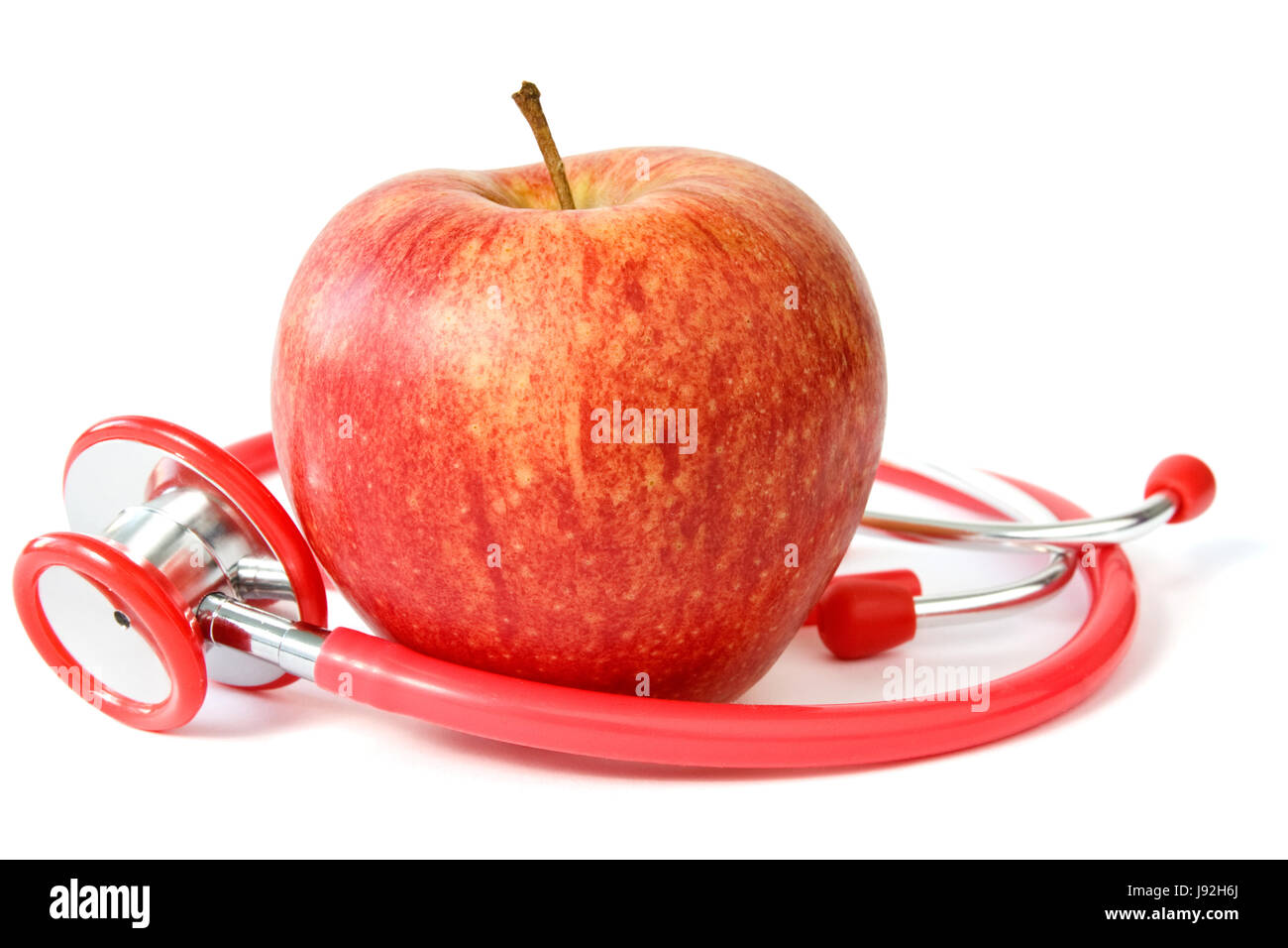 model, design, project, concept, plan, draft, fruit, diet, means, agent ...