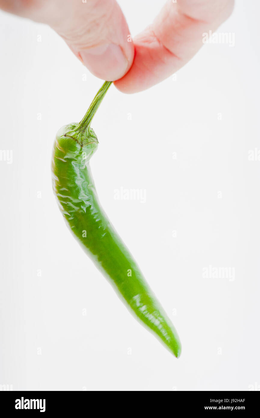 food, aliment, spice, spicy, chili pepper, fresh, food, aliment, hand ...