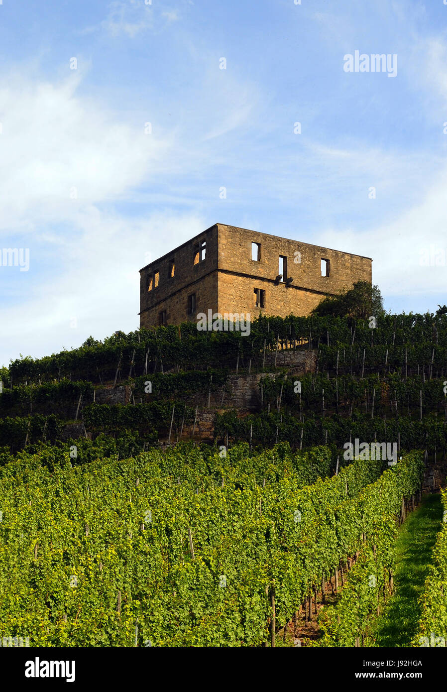 house, building, vineyard, chateau, castle, house, building, historical ...