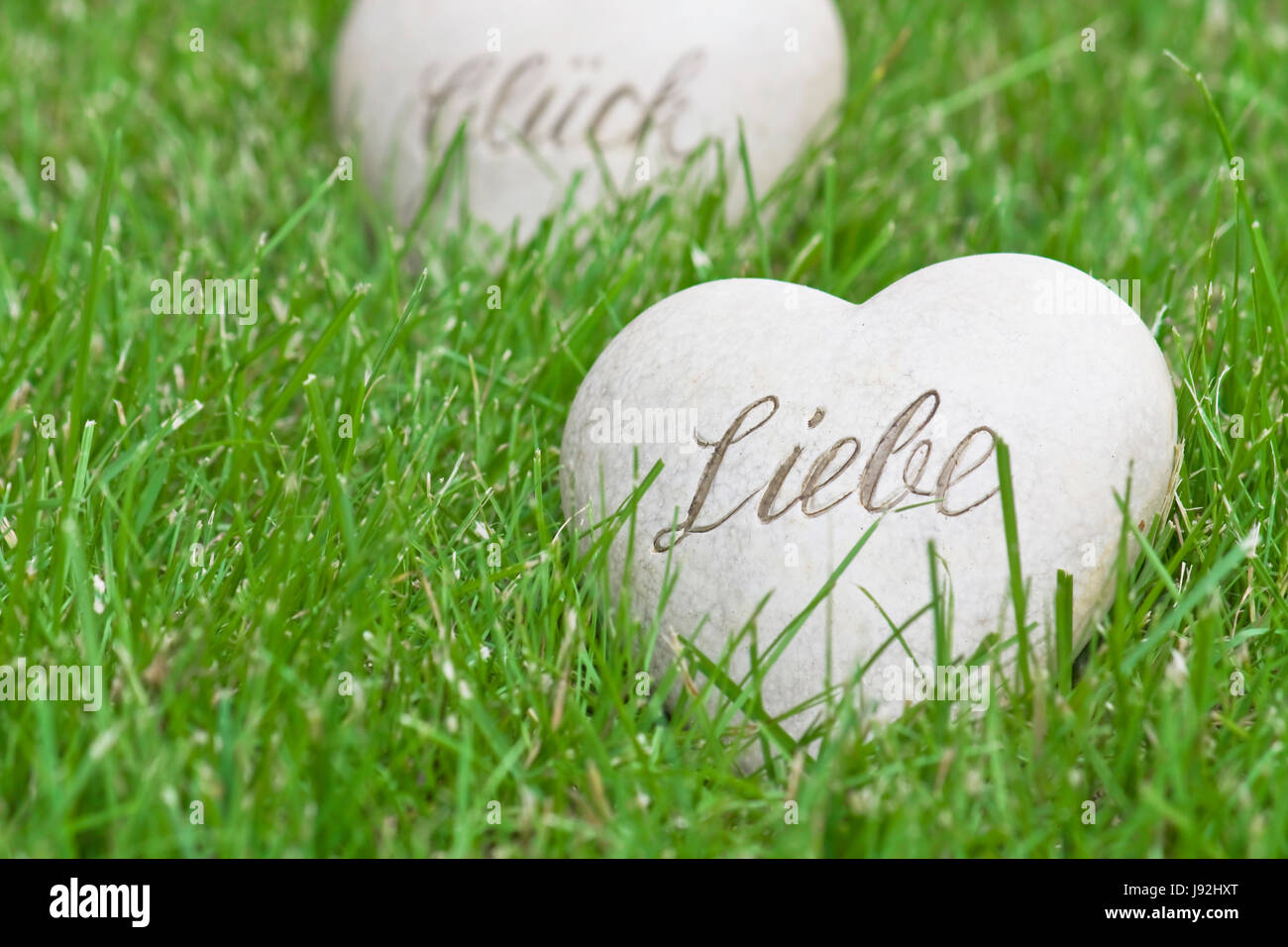 the love for nature Stock Photo - Alamy