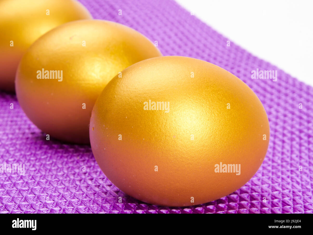 flower, plant, green, bloom, blossom, flourish, flourishing, spring ...