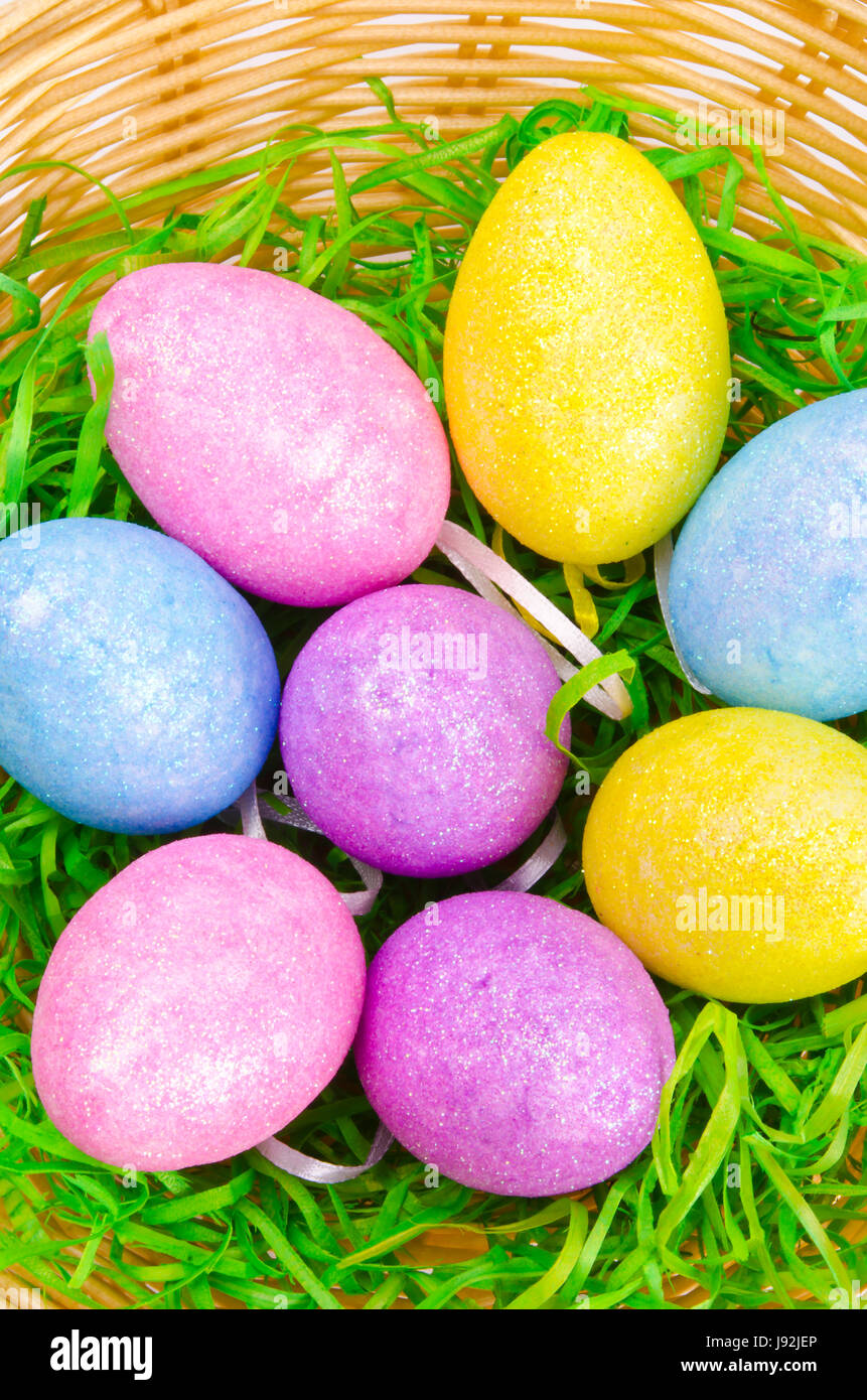 flower, plant, green, bloom, blossom, flourish, flourishing, spring ...