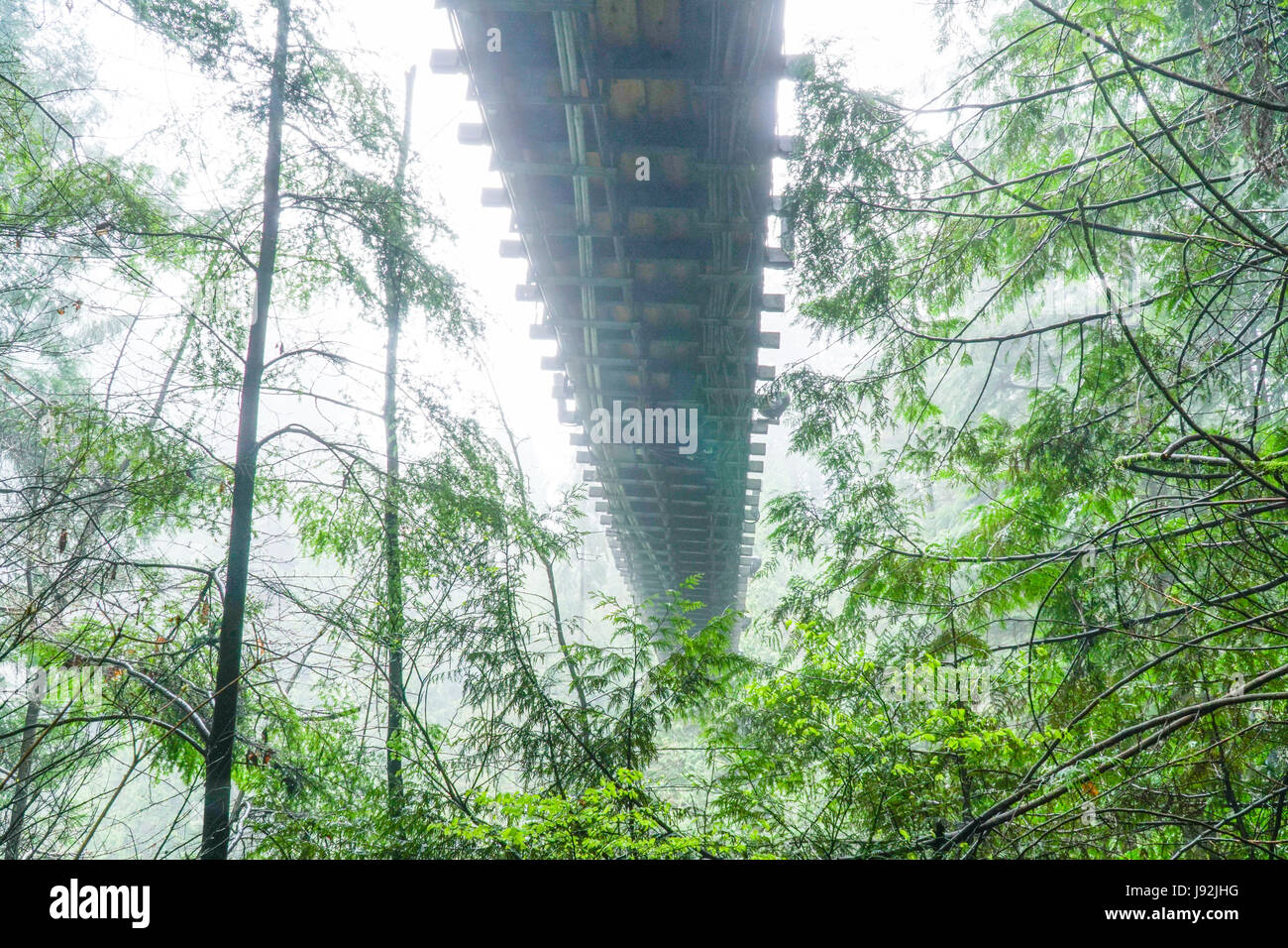 The Capilano Suspension Bridge in the mist CANADA Stock Photo - Alamy